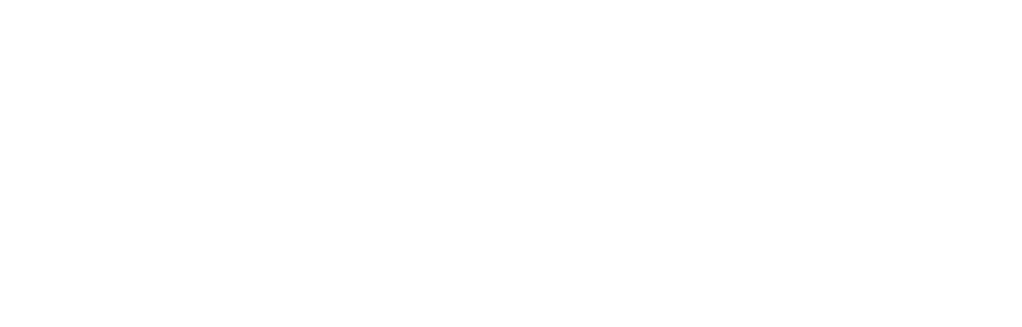 LC.400 Piezo Controller Enclosed - Motion Solutions